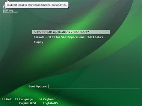 Howto Install Sap Hana Into A Vm In Less Than 30minutes Musings Of