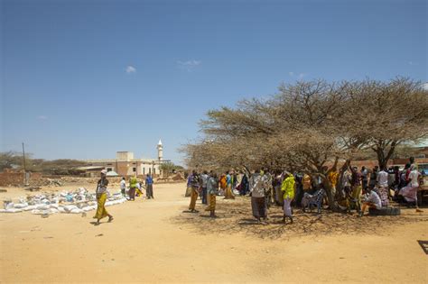 Abdulkadir Mohamed On Linkedin Somalia