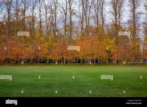 Autumn Trees Uk High Resolution Stock Photography And Images Alamy
