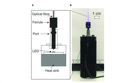 A Cut Away Schematic Of Led Fiber Butt Coupling Assembly B