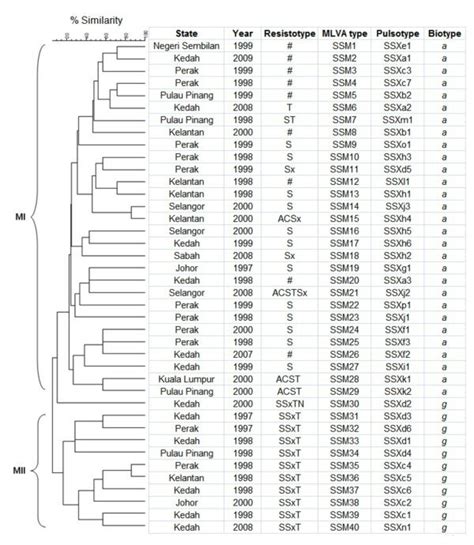 Dendrogram Generated Froms Sonneimlva Suptyping By The Upgma