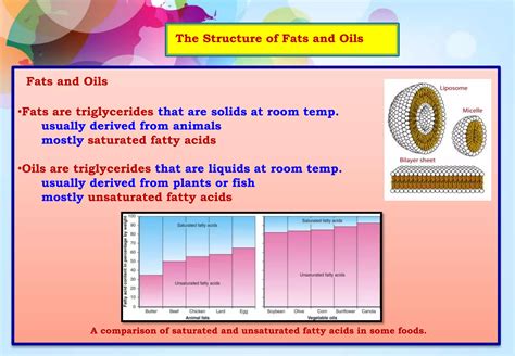 Biochemical Concept Of Lipids Pptx
