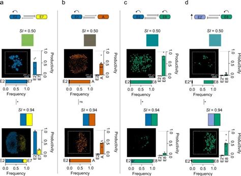 Researchers Use 3d Droplet Printing To Better Observe And Manipulate