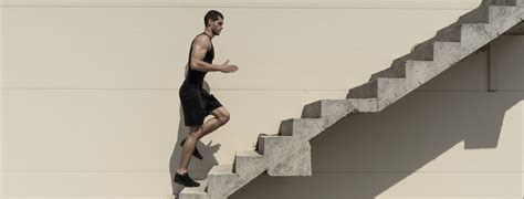 Resumo Do Livro The Talent Code De Daniel Coyle Ynner