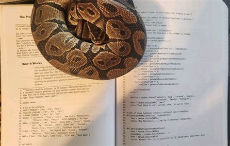 Shane Womboldt On Linkedin Pythonprogramming Python Pythonlearning Pythoncoding