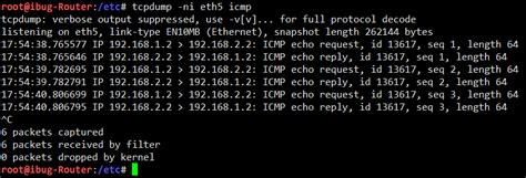 Secure Site To Site Connection With Linux Ipsec Vpn Ibug