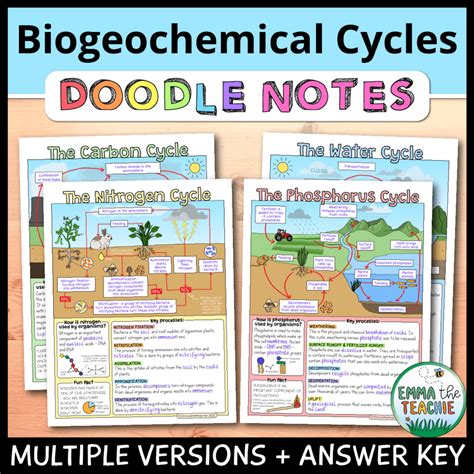 Biogeochemical Cycles Bundle Emmatheteachie