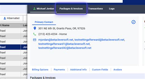 Set Manual Invoice Dates Visp