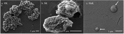 Sem Images Klason Extraction Basic Ph Of A Herbaceous B
