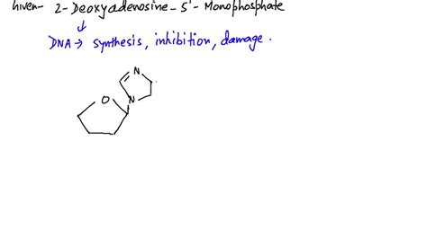 Draw The Structure Of 2 Deoxyadenosine 5 Monophosphate Damp And