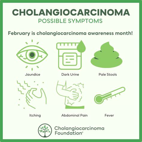 February Is Cholangiocarcinoma Foundation