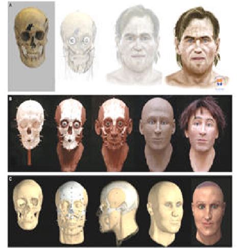 Steps Of Facial Reconstruction Download Scientific Diagram