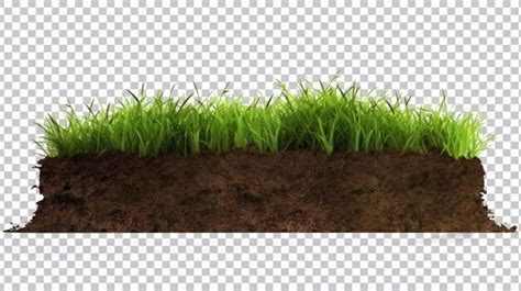 Premium Psd Green Grass Cut Png