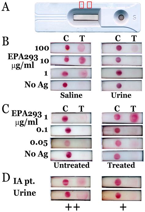 Mab476 Based Lateral Flow Immunochromatographic Assay Device Lfd