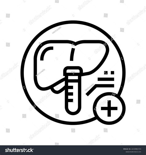Liver Function Tests Health Check Line Stock Vector Royalty Free 2210981733 Shutterstock