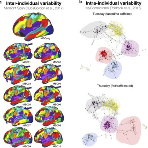 Inter And Intra Individual Differences In Functional Connectivity From Download Scientific