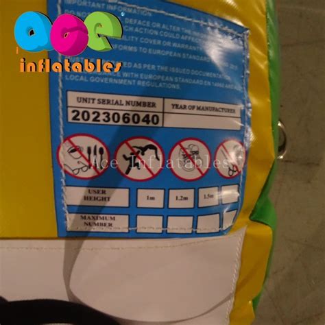 China Customized Pipa Mini Party Theme Inflatable Dry Slides Suppliers