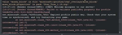 Chat Message Validation Failure Issue ReplayMod ReplayMod GitHub