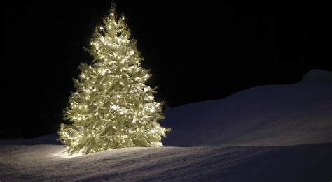 C How To Detect A Christmas Tree Stack Overflow C How To Detect A Christmas Tree Stack Overflow