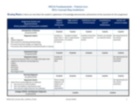 Solution Fundamentals Chamberlain University Patient Care Rua Concept