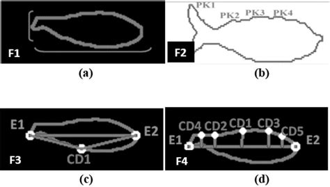 A F1 Elongated Structure B F2 Local Maxima Output C F3