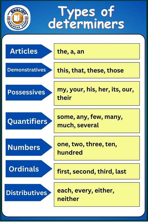 Determiners Definition Types And Examples