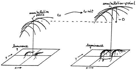 Estimation Of Translation And Divergence Download Scientific Diagram