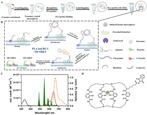 Approach Sensitive Detection Of Exosomal Biomarkers By Aptamer Mediated Proximity Ligation