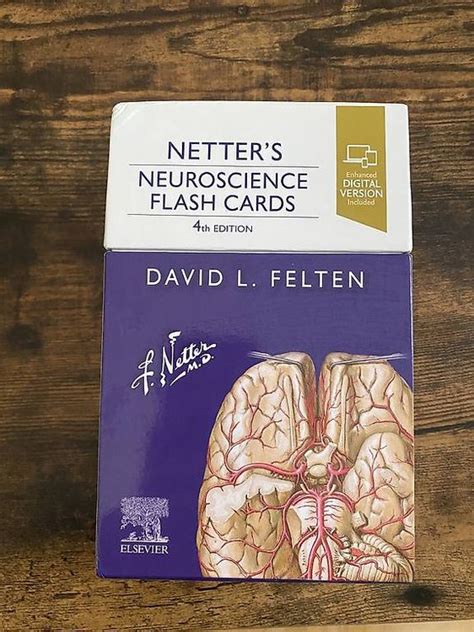 Netters Neuroscience Flash Cards 4th Edition Kaufen Auf Ricardo