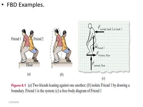 Solution Free Body Diagram Lami S Theorem Studypool