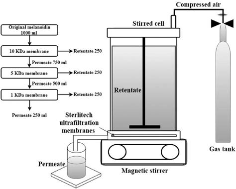 Schematic Diagram For Obtaining Different Melanoidin Fractions Download Scientific Diagram