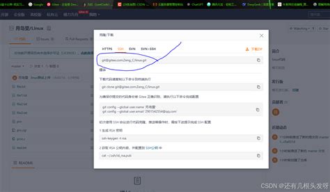 首次在 Linux 环境下使用 Git Ssh 认证上传代码的全流程指南linux Git Ssh Csdn博客