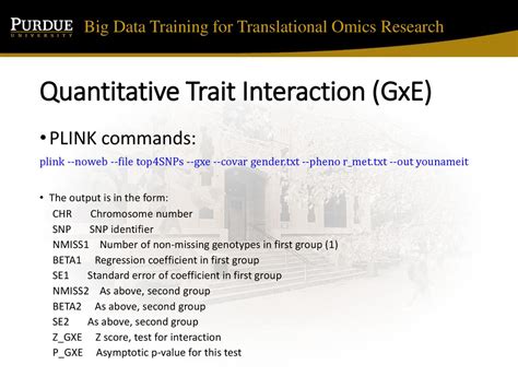 GxG And GxE Ppt Download