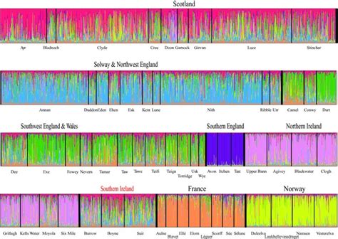 structure plot showing estimated proportions of the coefficient of download scientific diagram