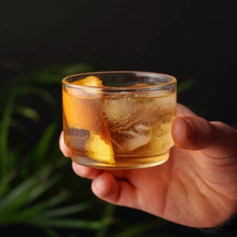 Stackable Bodega Glasses Vida Voyager