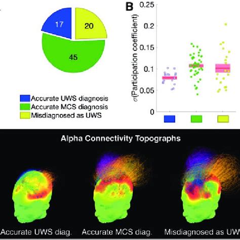 Eeg Networks And Misdiagnosis A Mismatch Between Diagnosis Of