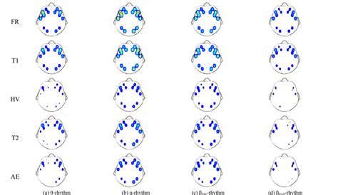 Results Of The EEG Analysis Download Scientific Diagram