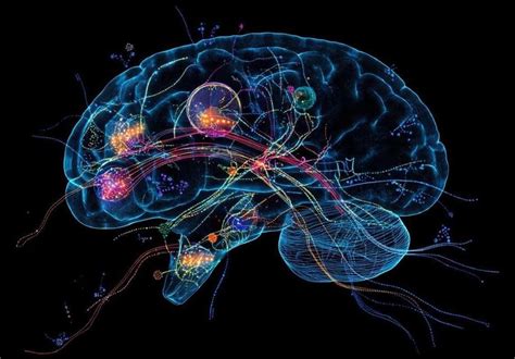 Mapping Memory Circuits Projects