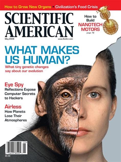 A Sex Chip Targeting The Brain S Pleasure Center With Electrodes
