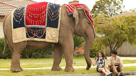 Son Altesse Alex Saison 1 Diffusions Tv Streaming Replay Télé 7 Jours