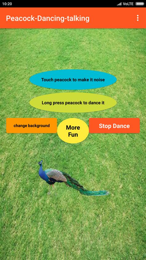 Talking Peacock Dancing Game App On Amazon Appstore