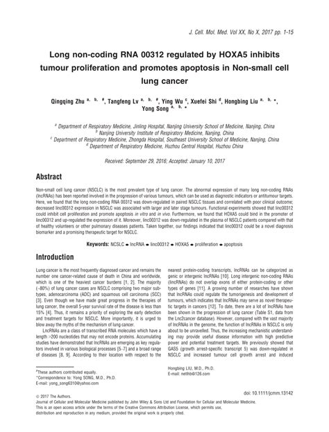 Pdf Long Non Coding Rna 00312 Regulated By Hoxa5 Inhibits Tumour