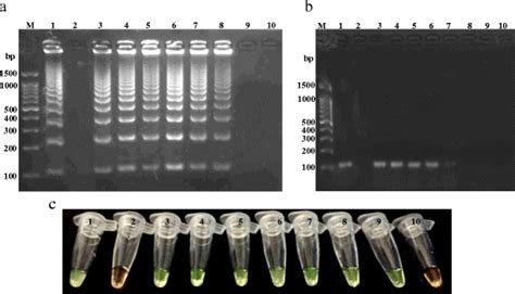 Sensitivities Of Srca And Pcr Assay A B Sensitivities Of Srca And Pcr