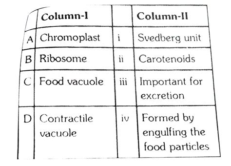 match the following columns