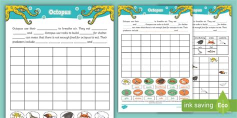 Help The Octopus STEM Coding Algorithm Activity Twinkl