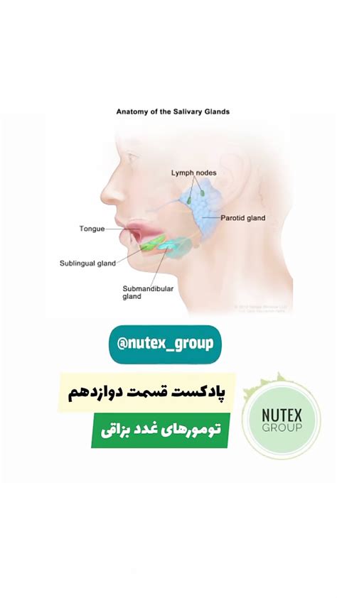 تومورهای غدد بزاقی پارت دوازدهم