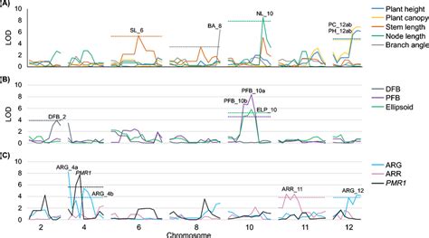 Qtls For Plant Architecture Fruit Morphology And Anthracnose Download Scientific Diagram