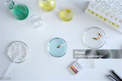 Top View A Laboratory Petri Dish With Test Paper For Testing An