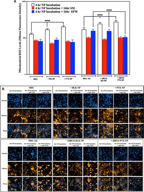 Effect Of Nanoengineering On Intracellular ROS Generation A The Rate Download Scientific