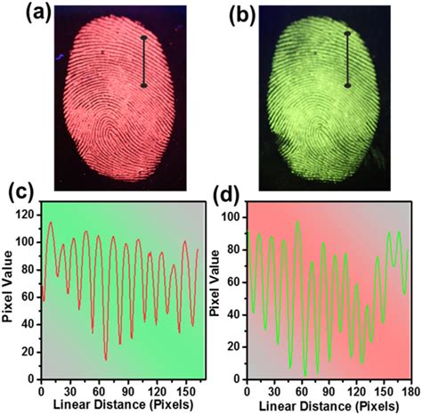 Red And Green Colors Emitting Spherical Shaped Calcium Molybdate